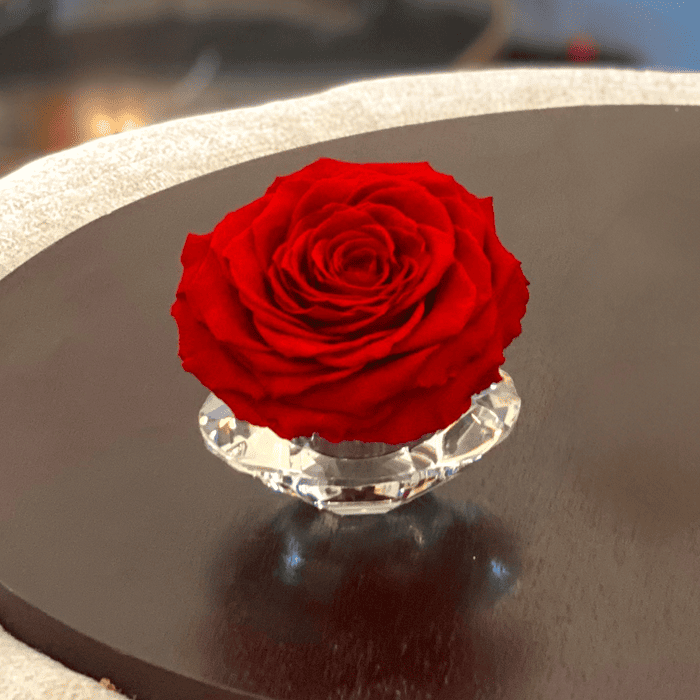 Crystal rose Jumbo #10977 – GINZA SOBI FLOWERS