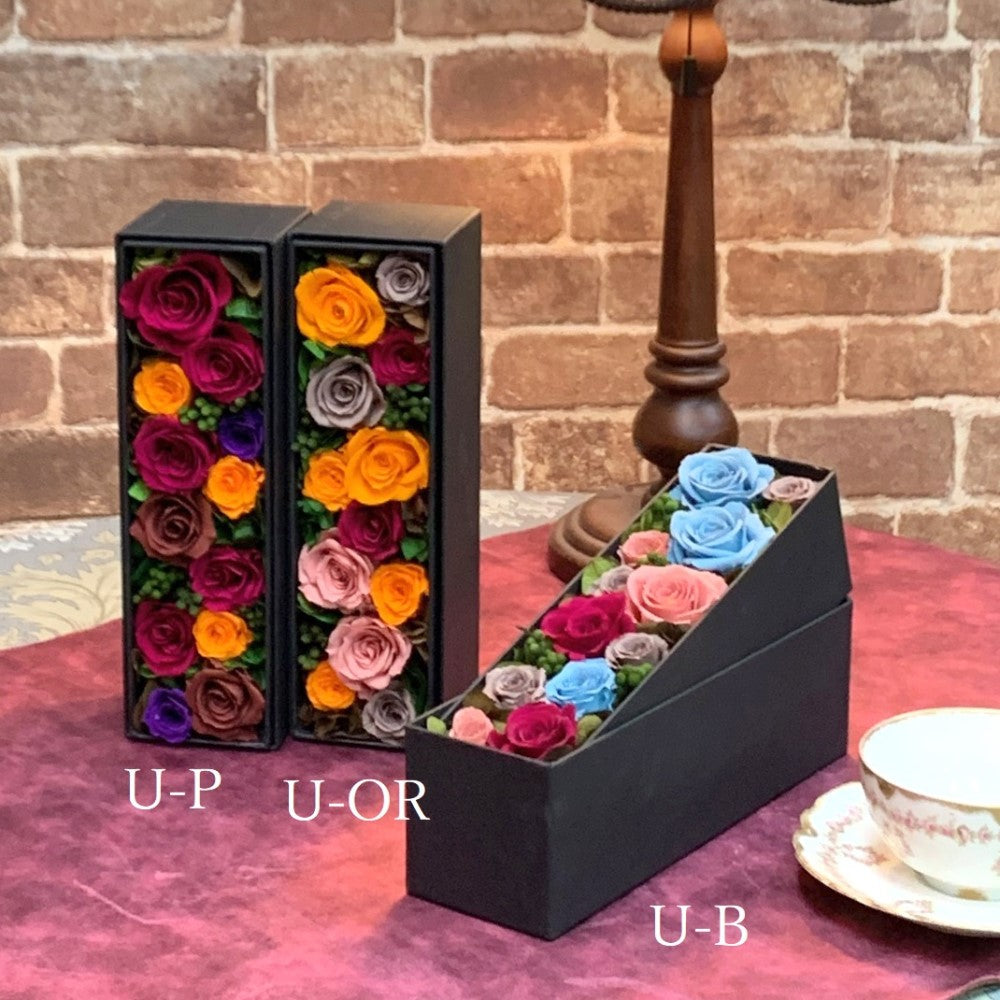 12 Roses in tall box: #10893 – GINZA SOBI FLOWERS